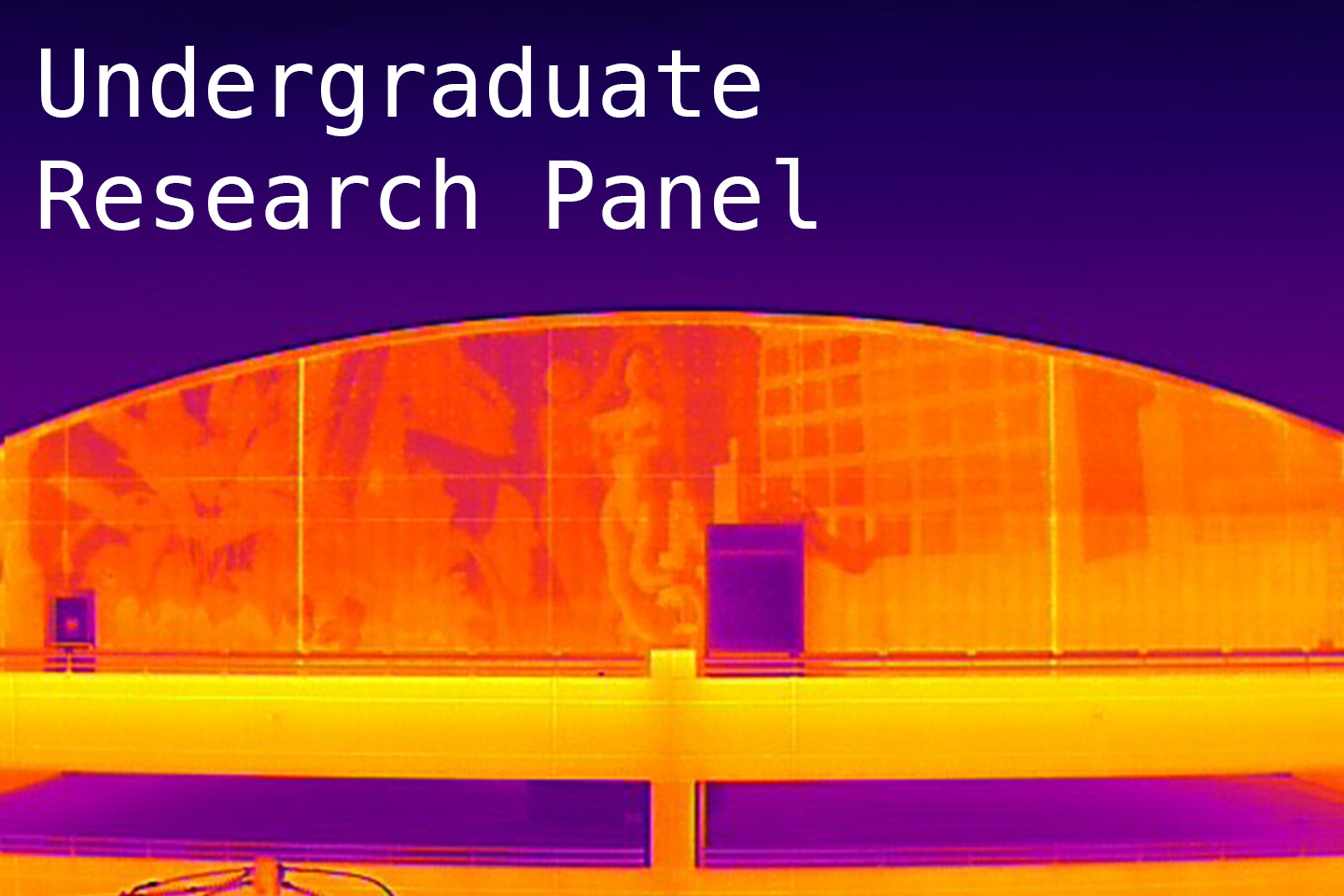 Undergraduate Research Panel | The Anderson - VCUarts