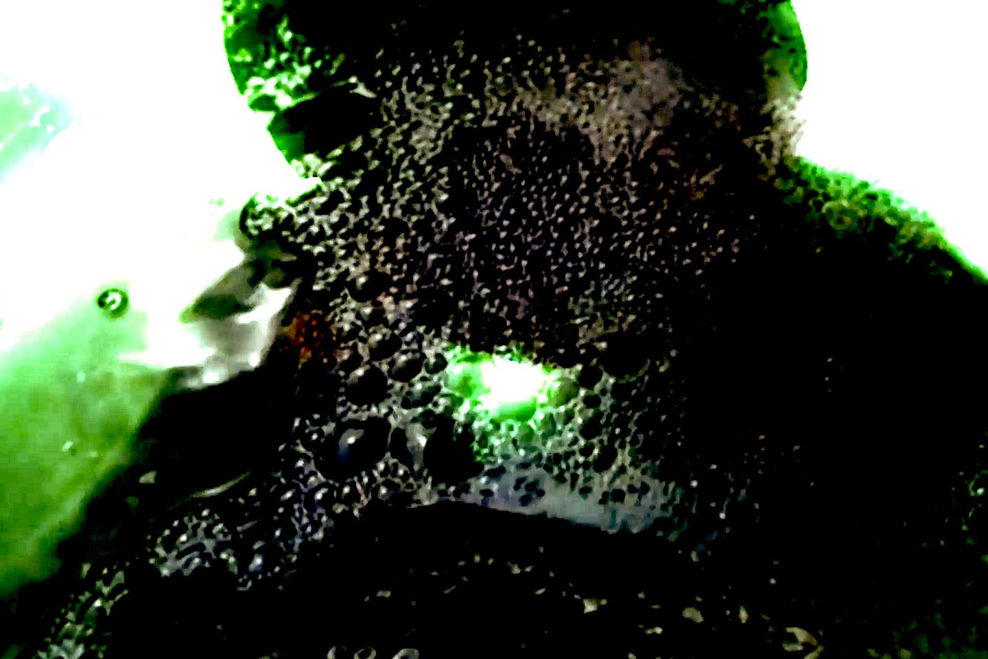 Primordial Birth at The Anderson - VCUarts